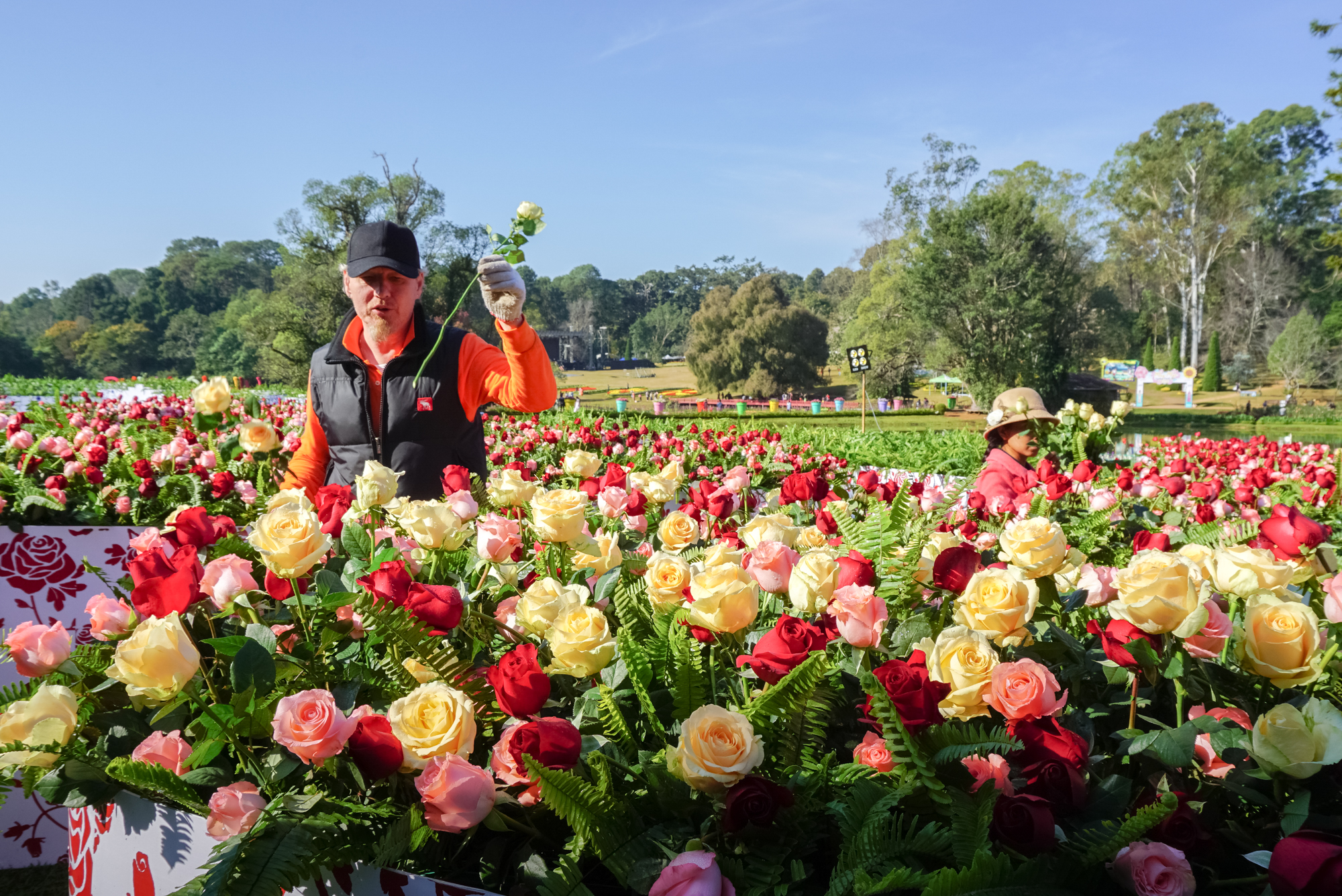 Culture of Flowers Festival, Myanmar – IGMPR, Imagineering Horti Culture